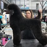 MASTERGROOM CANADA